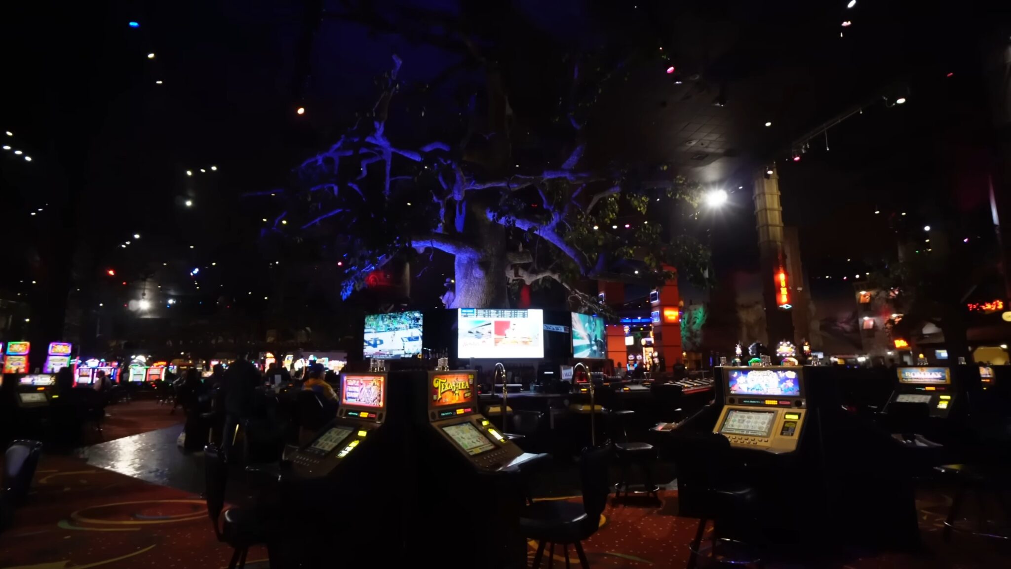 Why Should You Visit Primm in April? Sunny Days, Cool Nights